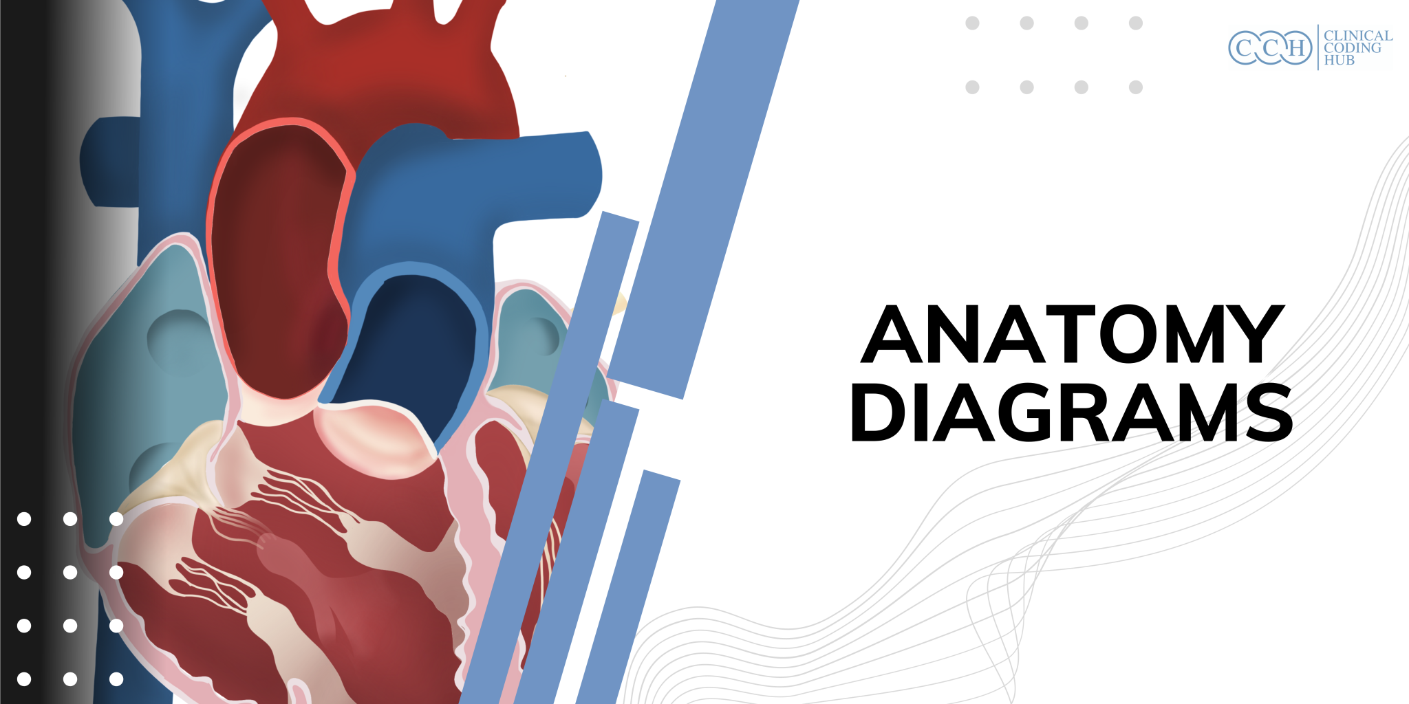 Courses • Clinical Coding Hub