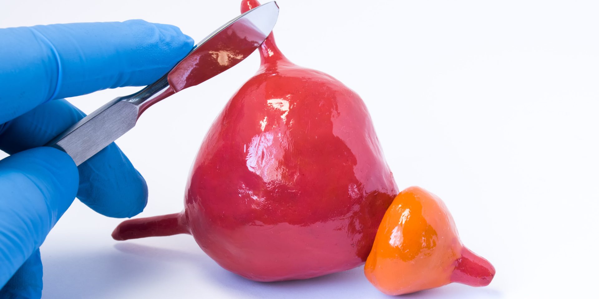 Courses • Clinical Coding Hub